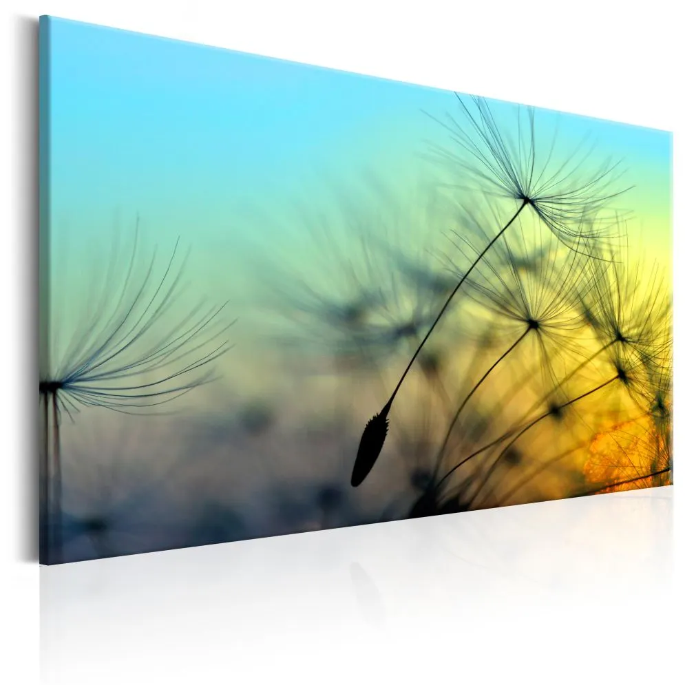 Obraz - Ballada wiatru | MIRAT.
